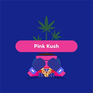 Pink Kush: A Blissful Journey Through a Legendary Cannabis Strain ...